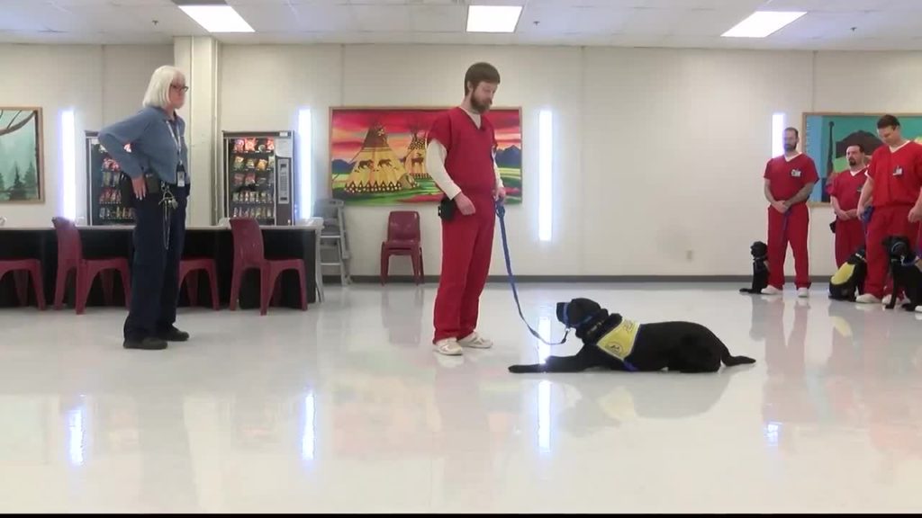 Canine Companions: Life behind bars gets new meaning through service ...