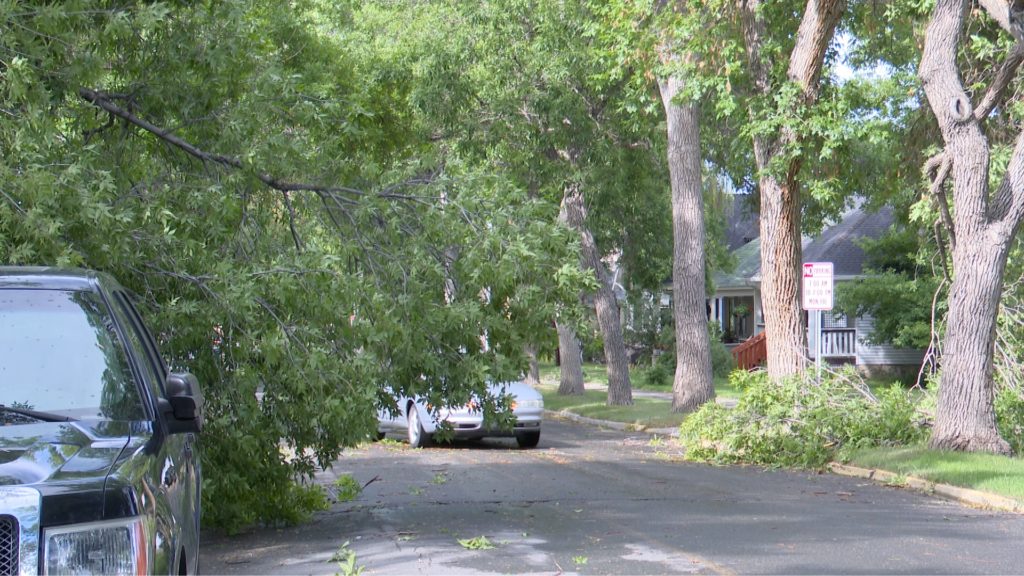Strong storm downs trees, leads to power outages in Helena